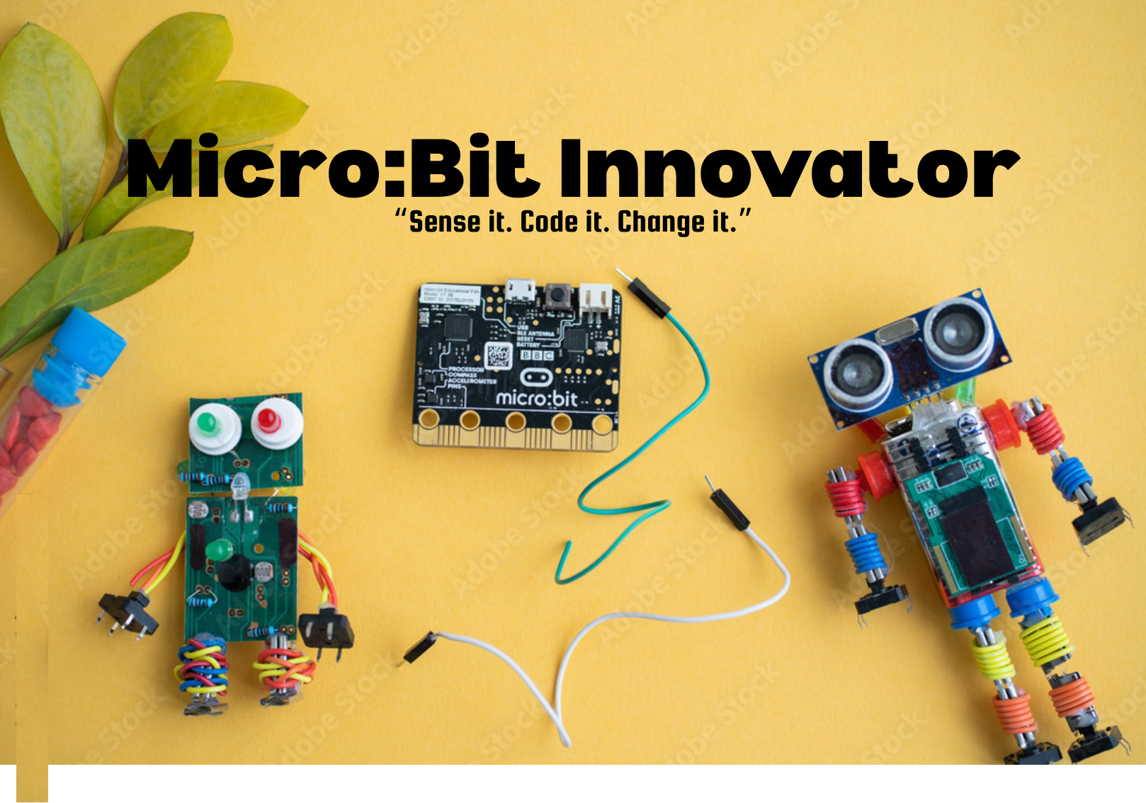 Micro:Bit Innovator – IE Skool