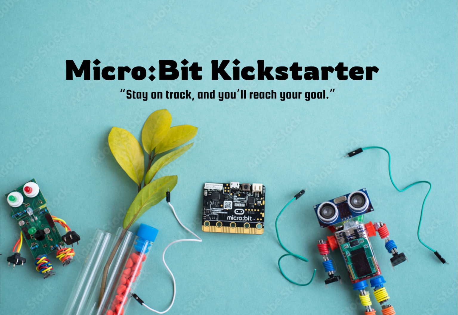 Micro:Bit Kickstarter V2 – IE Skool